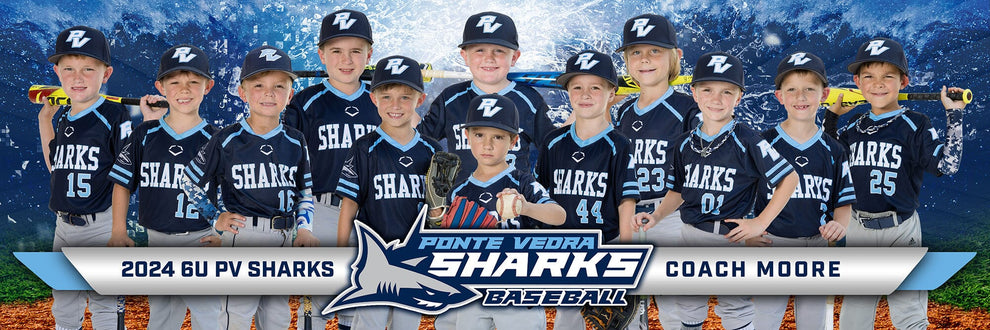 1:3 Ratio TEAM PANORAMIC Photoshop Template - Shark Multi-Sport ...